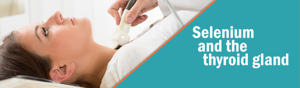 Selenium and the thyroid gland – Underactive / Overactive